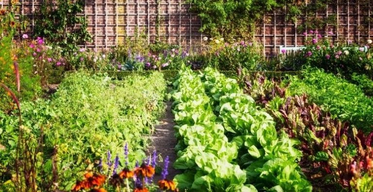 A Quick Guide To Homekit Garden Automation