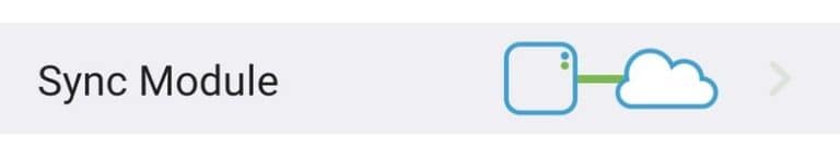 What Is A Blink Sync Module 2 & Do I Need One? Probably!